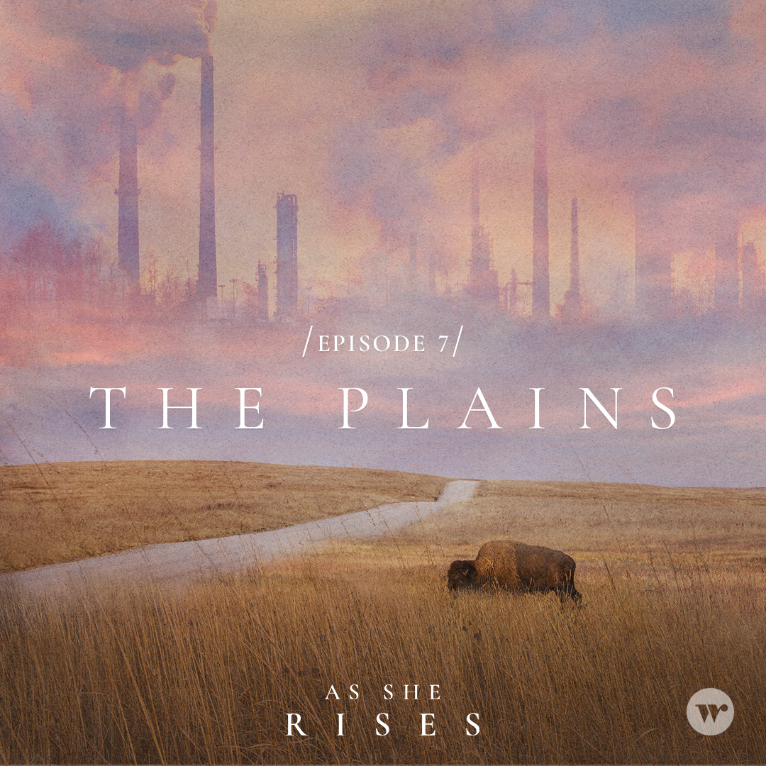 The Plains | Wonder Media Network